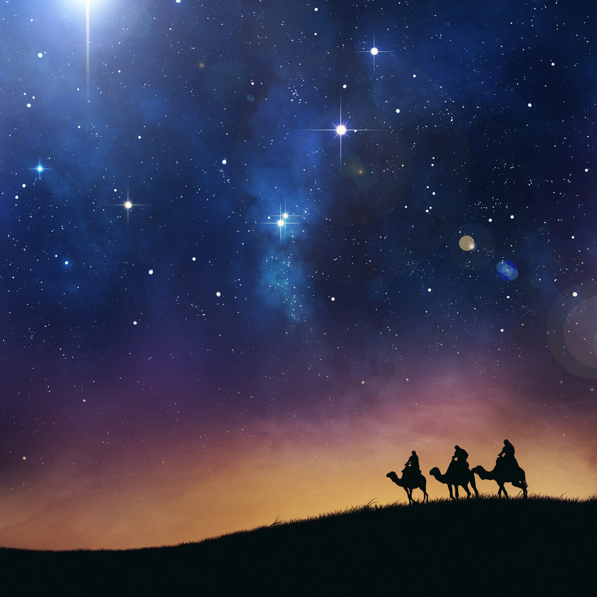 Following a Star: A Long Journey to Find a Baby | Arizona Fertility Clinic